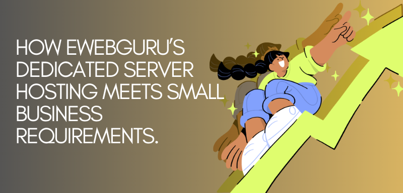 How eWebGuru's Dedicated Server Hosting Meets Small Business Requirements